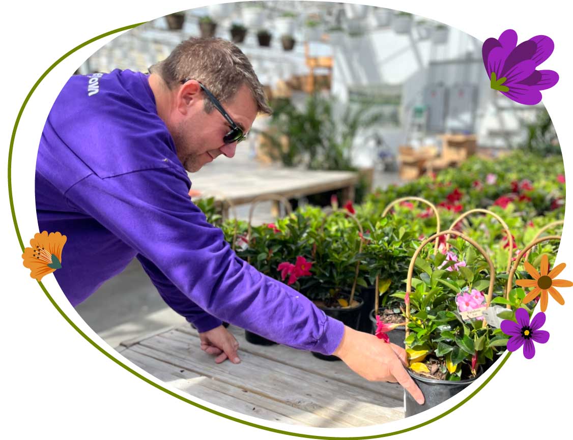 Canoyer Garden Center Lincoln